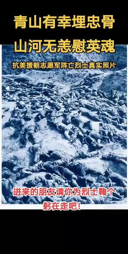 战地记者牺牲算烈士吗图标