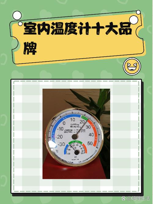 十大品牌水温计排行榜图标