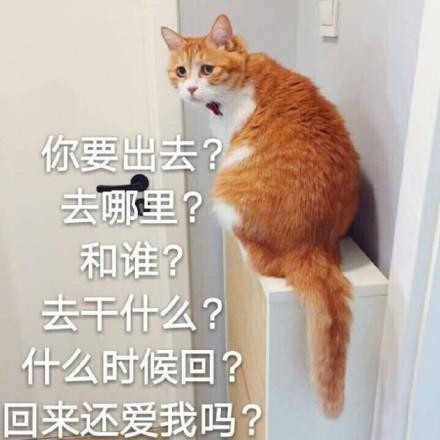 你要出去 去哪里 和谁表情包图标