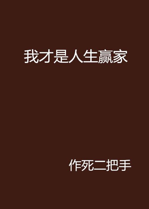 人生赢家小说图标