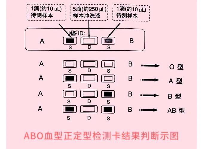 怎么知道自己血型图标