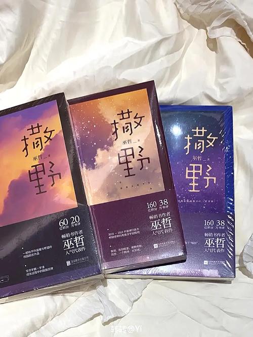 撒野旧版市场价多少图标