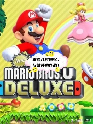 switch马里奥u双人图标