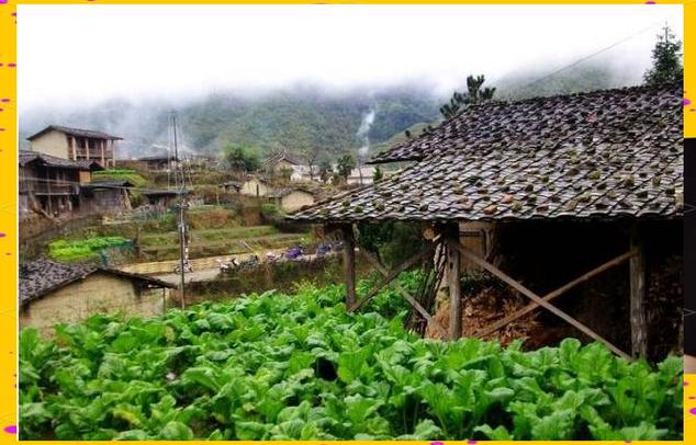 悠闲山村当首富图标