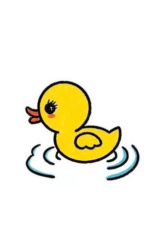 小黄鸭多少钱一只