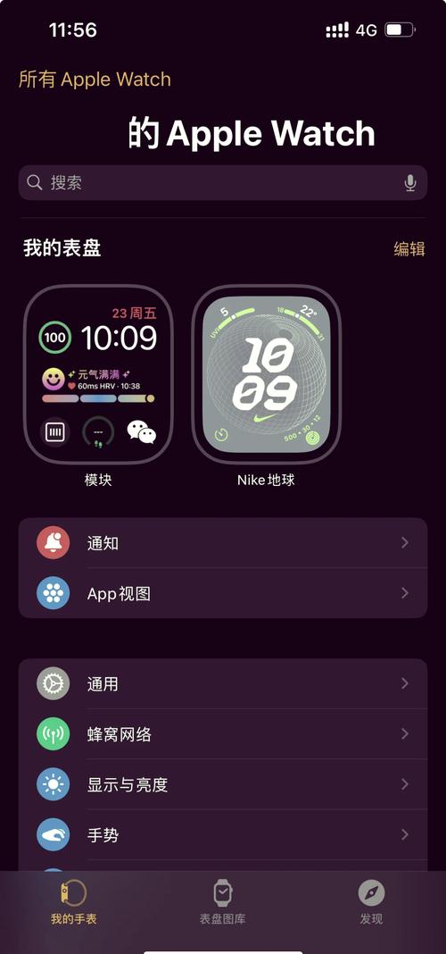 苹果一号双终端手表端不能图标