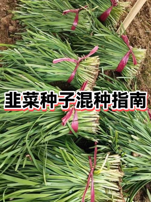 韭菜和奶茶能一起吃吗?图标