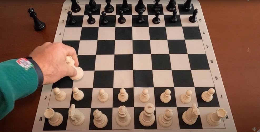 chessbase书籍图标
