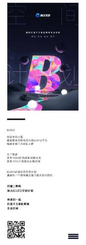 布鲁帝2019国际版下载图标