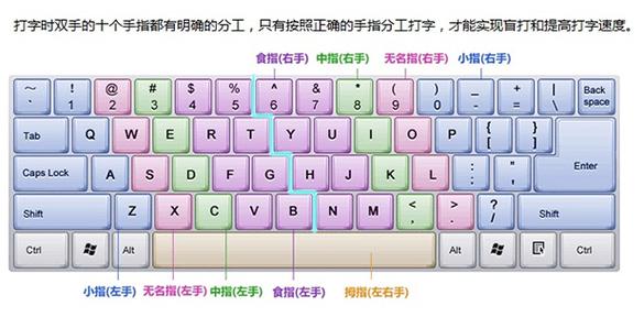 金山打字通哪个版本好图标