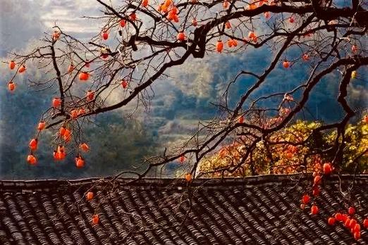 qq非好友仅可查看一年图标