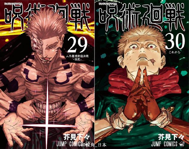 咒术回战日文原版漫画图标