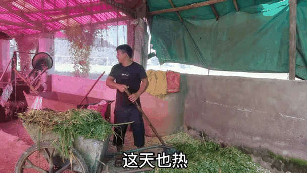 江西老二石头螃爷截图