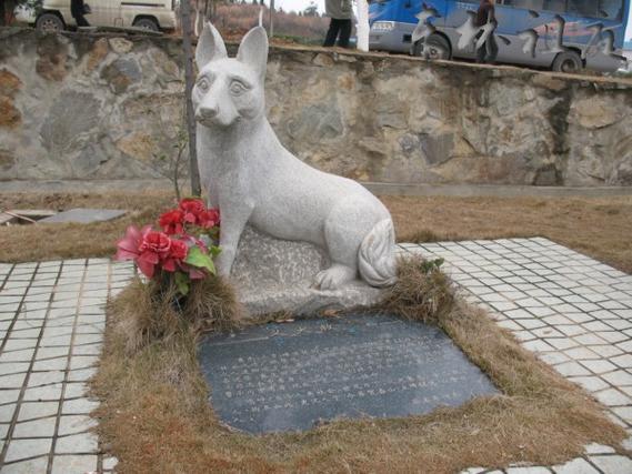 中华田园犬赛虎图标