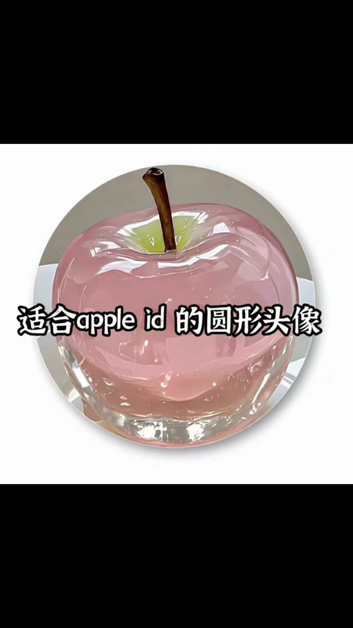 苹果两个圆圈的标志是什么图标