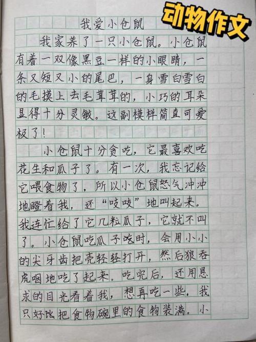 三年级优秀作文一等奖图标