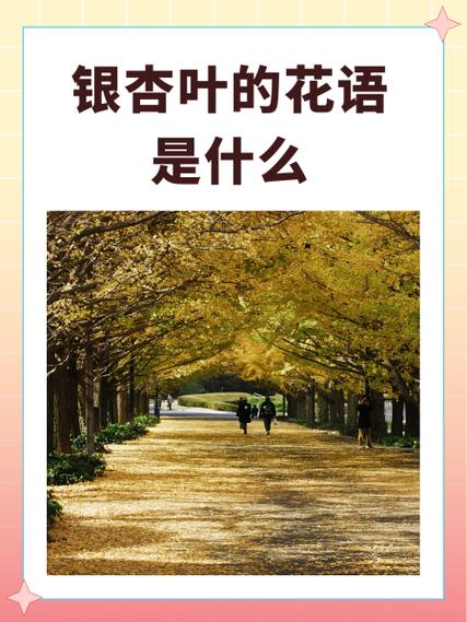 银杏分期有上征信吗图标