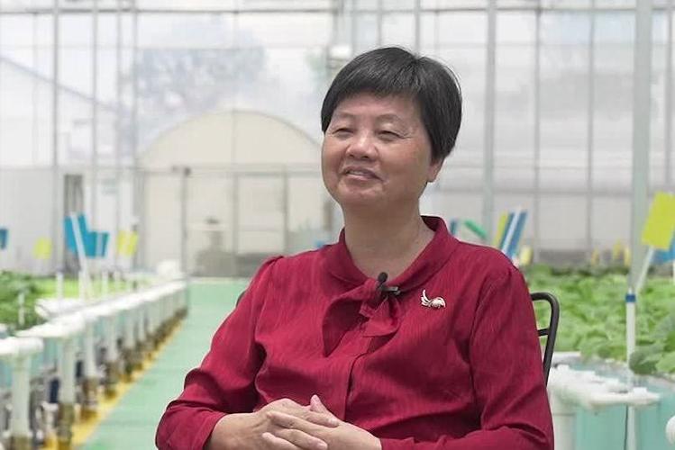 钟爱东图标
