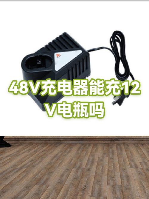 48v充电器能充12v电瓶吗图标