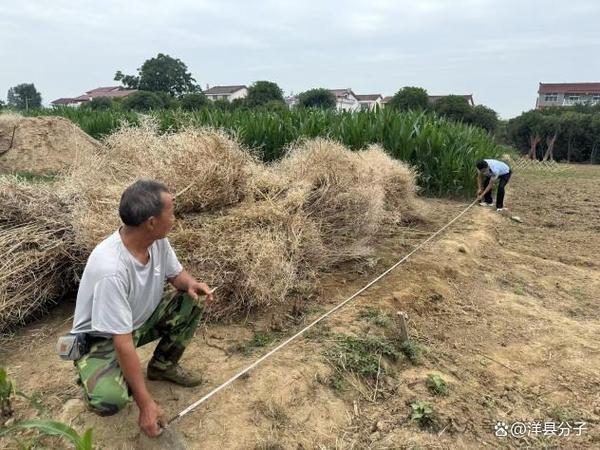 兄弟争夺土地怎么处理图标
