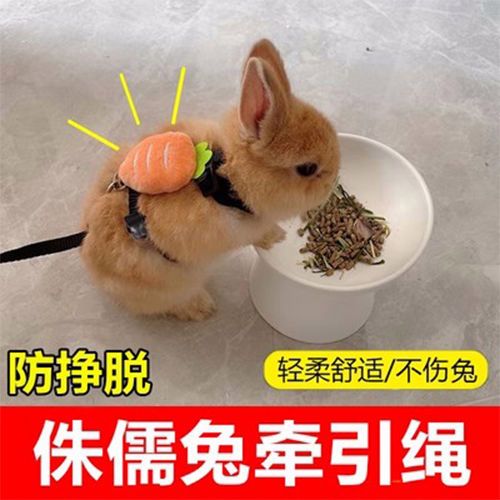 兔绳子怎么套步骤图图标