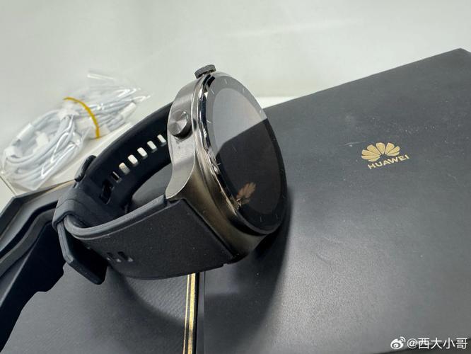 华为gt2pro运动版图标