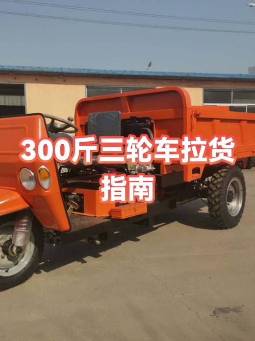 三轮车250和300的区别图标