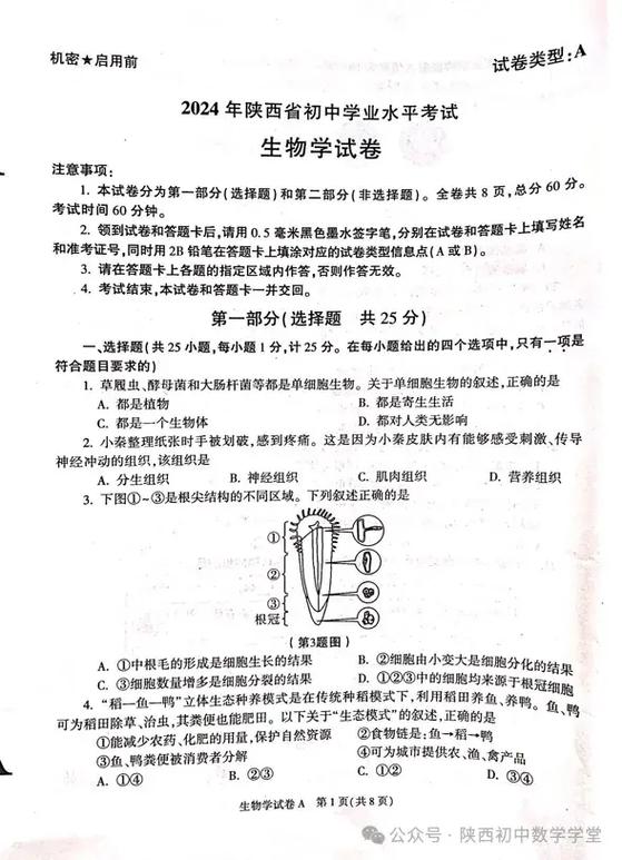 中考真题试卷(可打印)