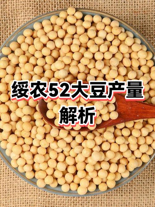 产量最高的大豆品种