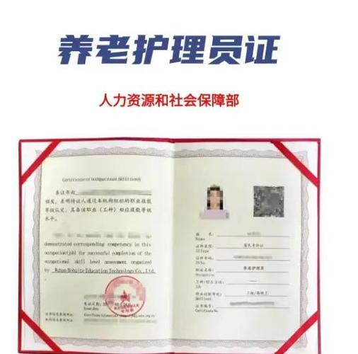 养老院护理员培训内容图标