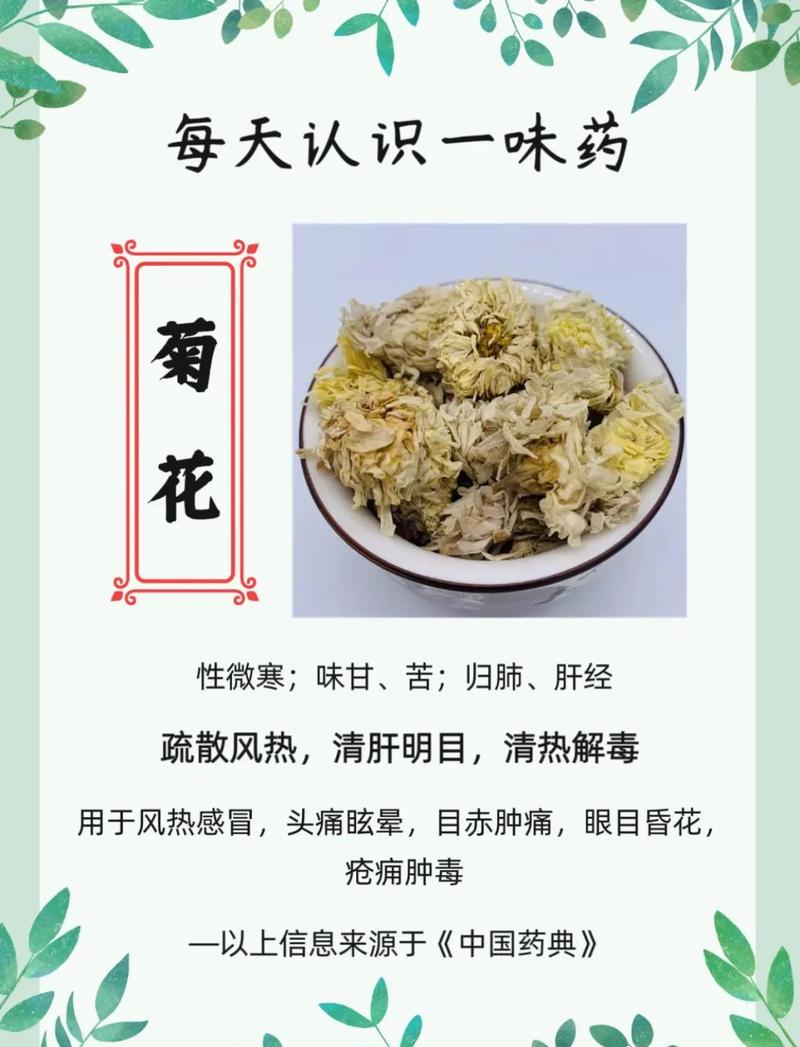 菊花泡水喝的功效与作用图标