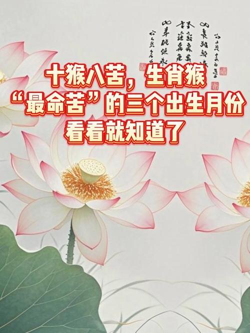最命苦的生肖截图