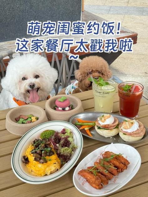 疯狂萌宠内置菜单下载截图
