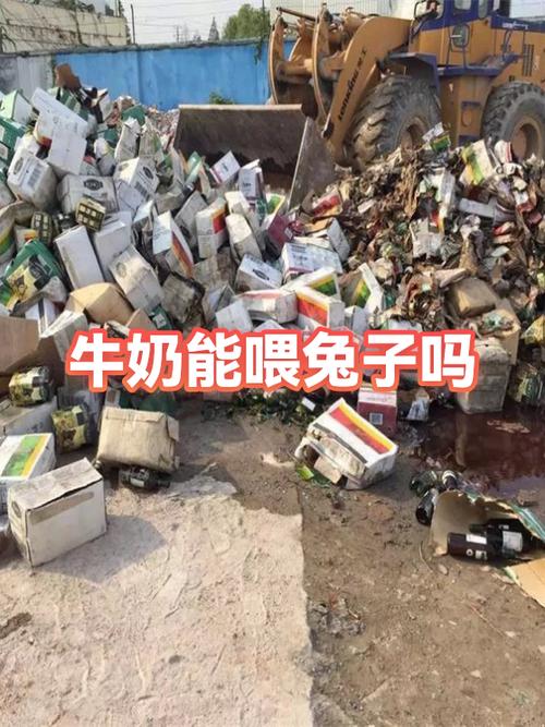 兔子喝牛奶会死吗图标