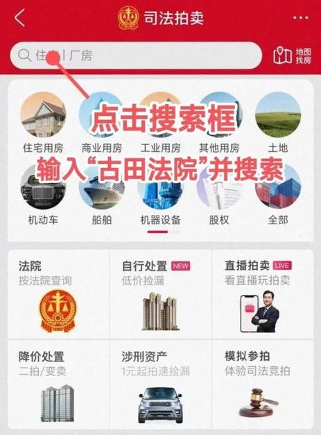 中拍网官网入口图标