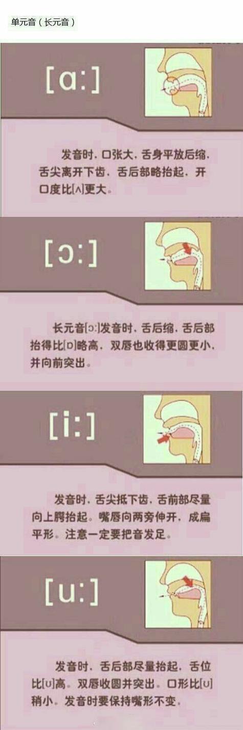 英语音标入门从零开始学
