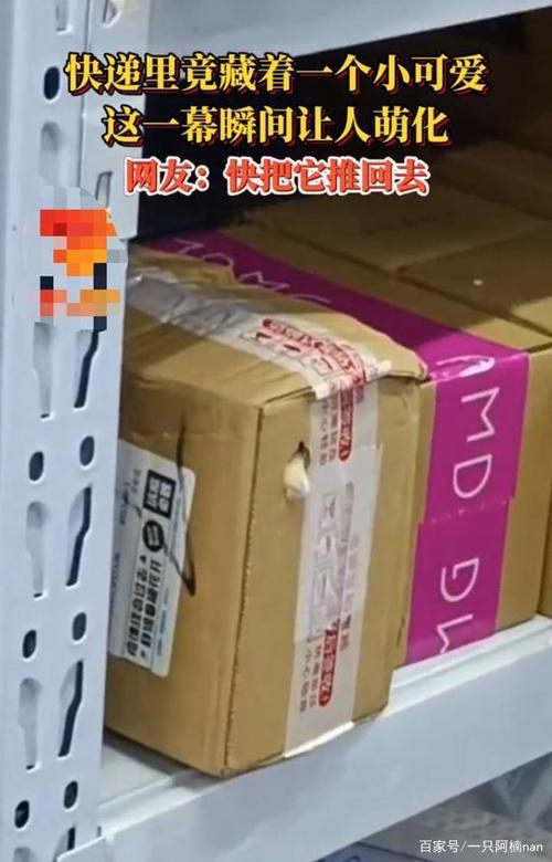 菜鸟驿站可以寄存东西吗图标