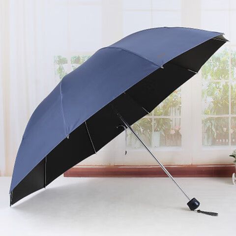 天堂伞男女雨伞价格图标