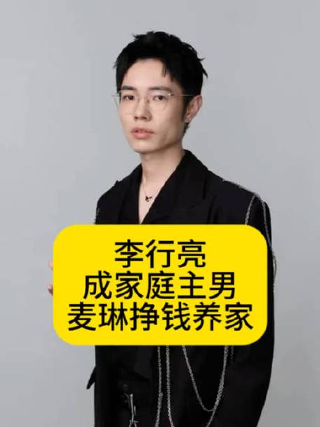 中国的家庭主男截图