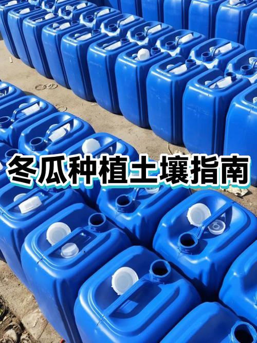台湾小冬瓜的种植办法图标