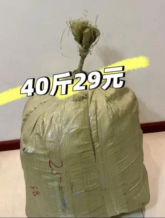 十多斤衣服怎么寄便宜
