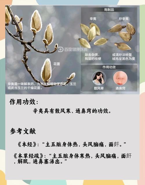 辛夷花一天最大用量图标