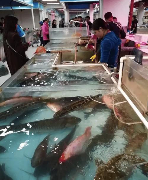 水产批发市场进货渠道图标