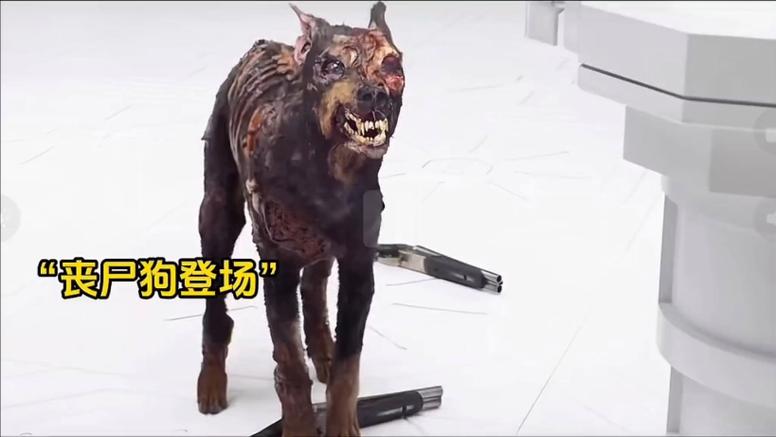 丧尸狗骑艾达3D动漫免费观看