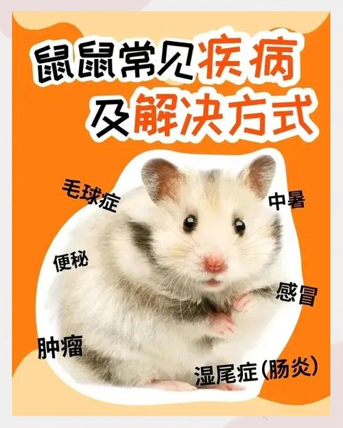 仓鼠喝不喝水图标