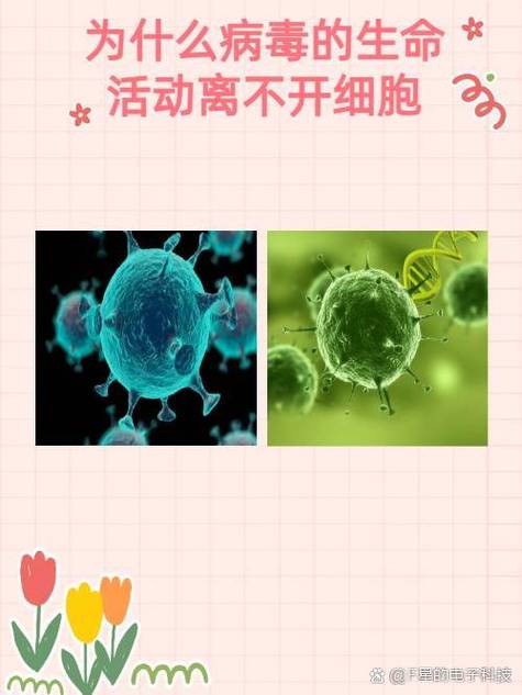 为什么会有病毒截图