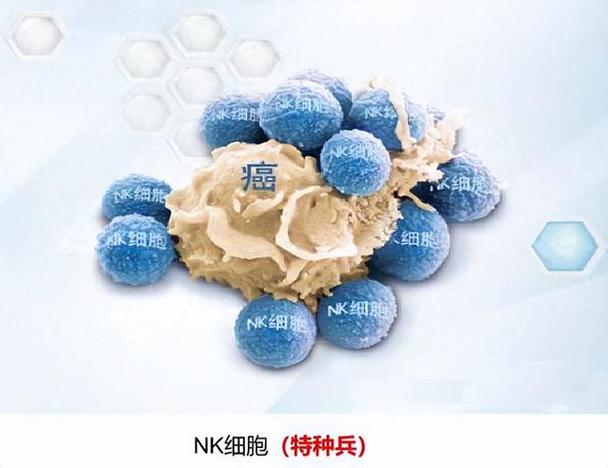 nk细胞一旦打了就不能停吗图标