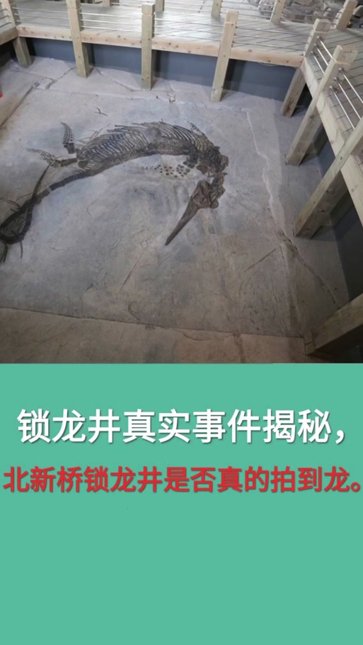 锁龙井水下拍摄截图