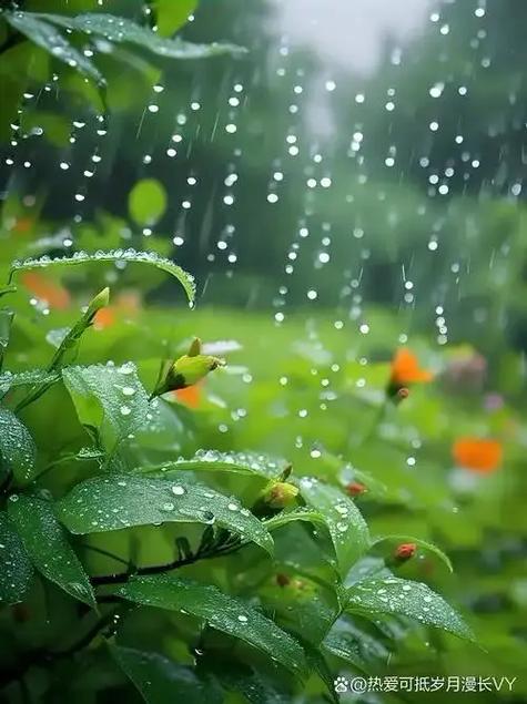 风儿轻轻的吹雨也绵绵下个不停截图