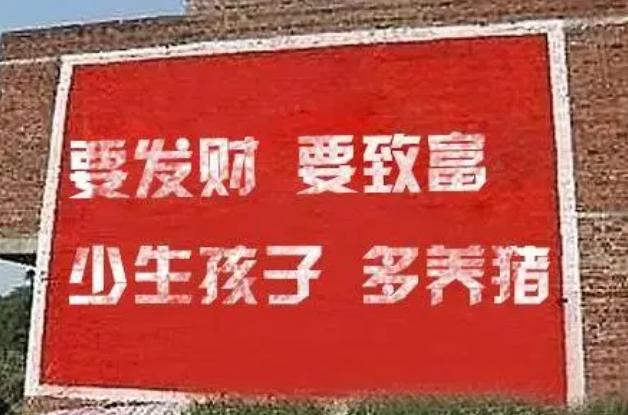 养猪的口号大全截图
